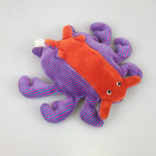 Filzlaus | F | A - Z | Perlsacktiere | Perlsacktiere.de