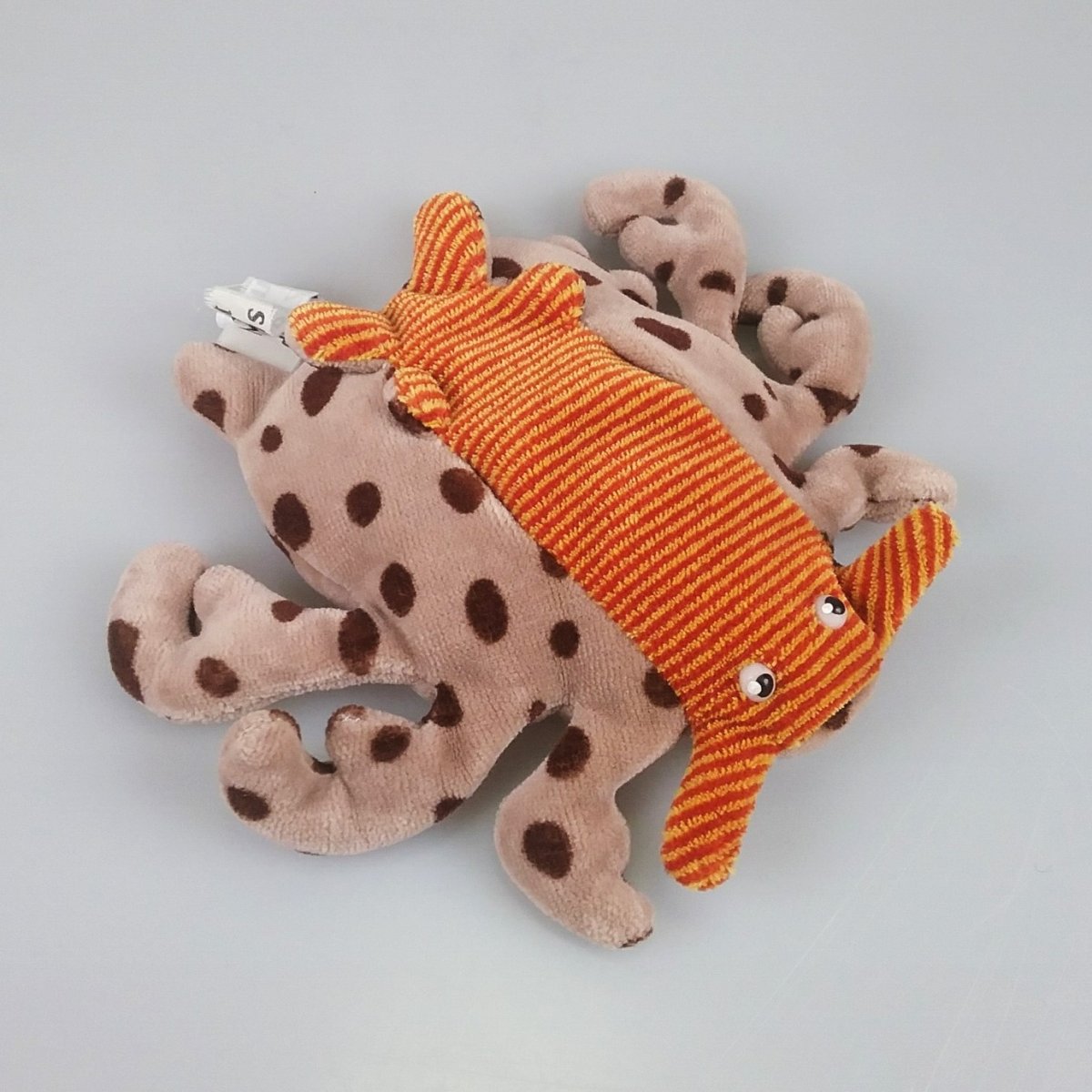 Filzlaus | F | A - Z | Perlsacktiere | Perlsacktiere.de