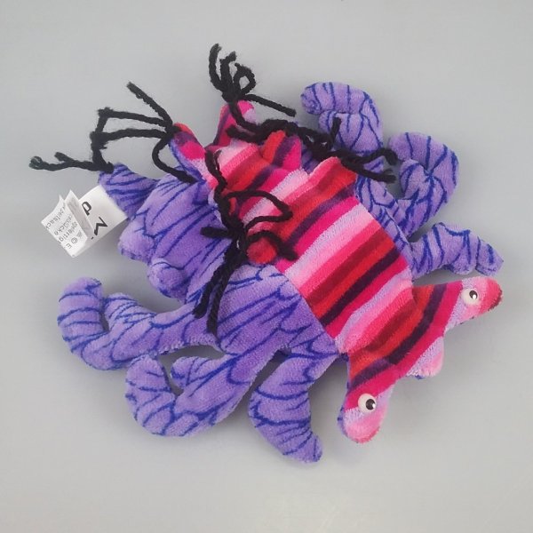 Filzlaus | F | A - Z | Perlsacktiere | Perlsacktiere.de