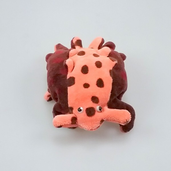 Filzlaus | F | A - Z | Perlsacktiere | Perlsacktiere.de