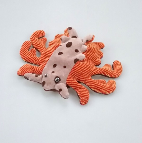 Filzlaus | F | A - Z | Perlsacktiere | Perlsacktiere.de